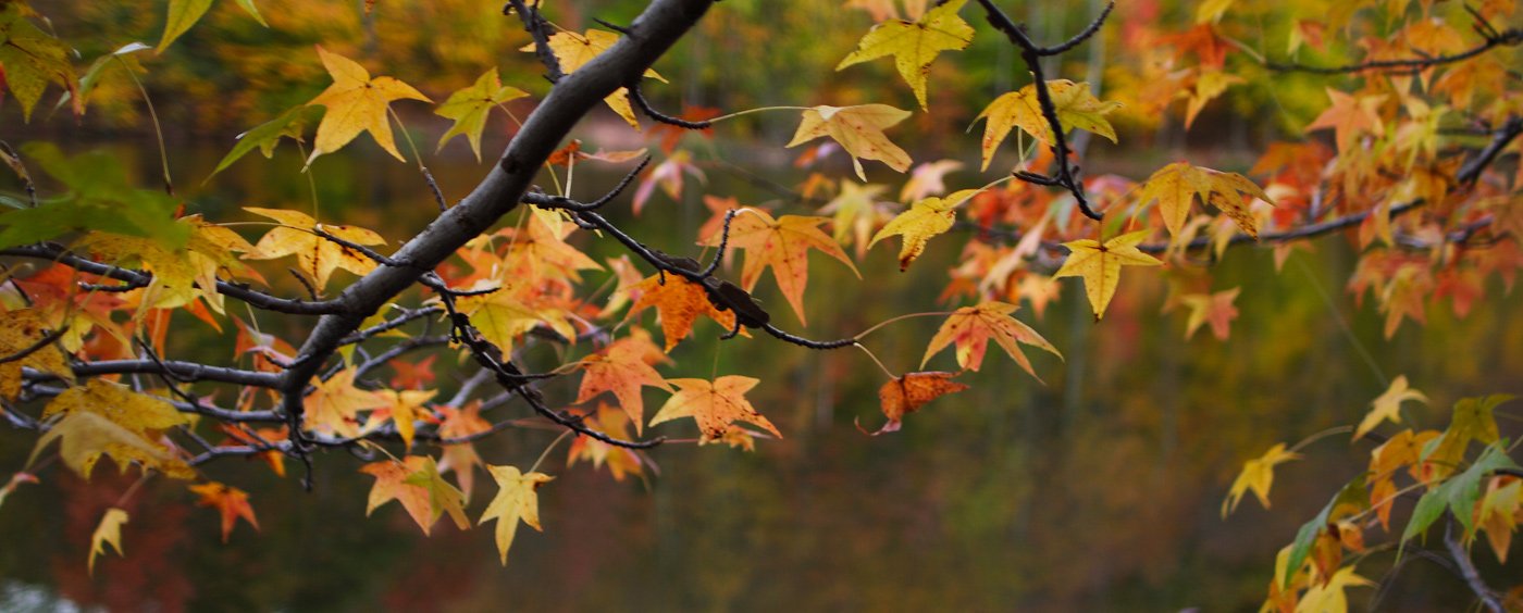 Helene’s damage to UNC System: “Nothing catastrophic” - Public Ed Works